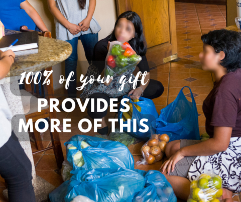 Our Programs | Radiate Coalition